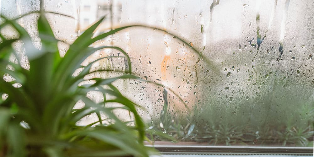 Maintaining Ideal Indoor Humidity During Fall and Winter | Shackelford ...